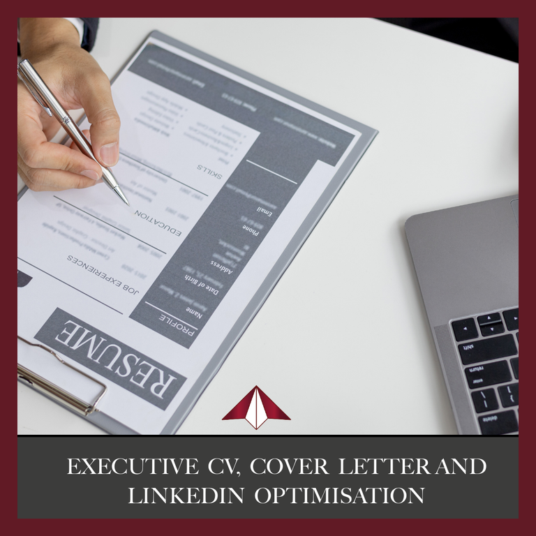 Executive CV Writing & Career Coaching – CV Pilots